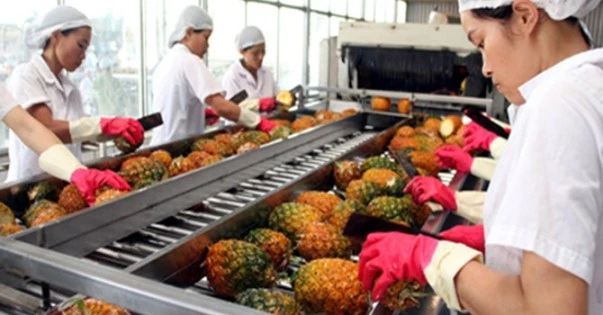 Xuất khẩu rau quả sang Trung Quốc sụt giảm mạnh