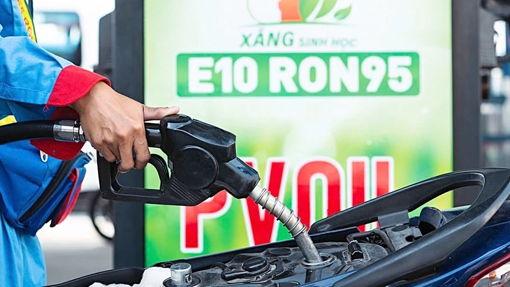 Hầu hết các dòng xe đều tương thích với xăng E10